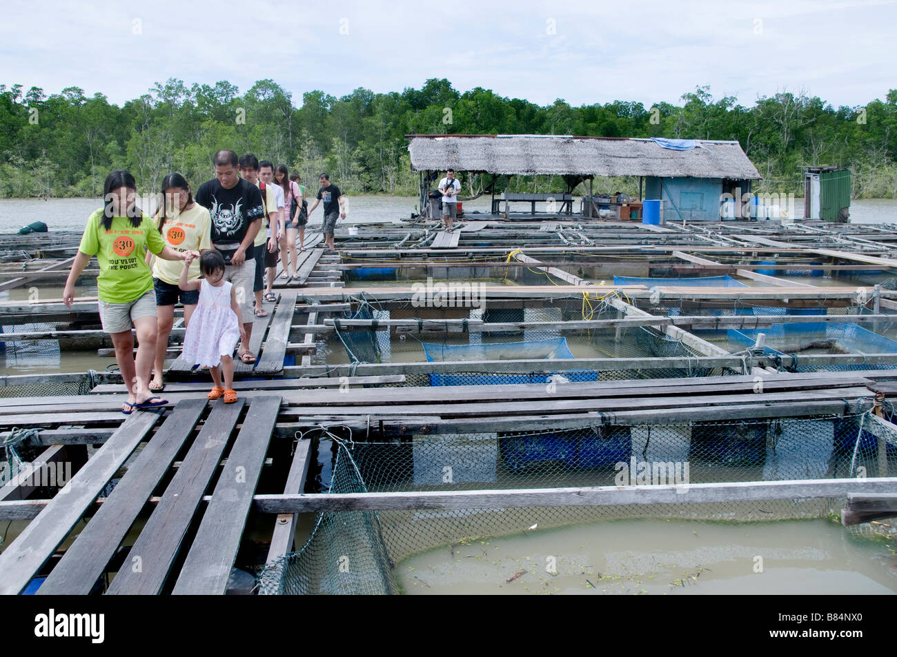 Kukup is a small fishing village It is famous for its open-air seafood ...