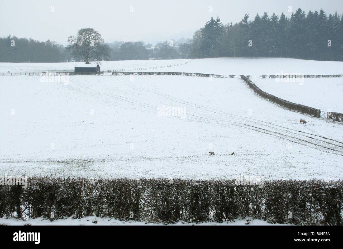 Llanover hi-res stock photography and images - Alamy