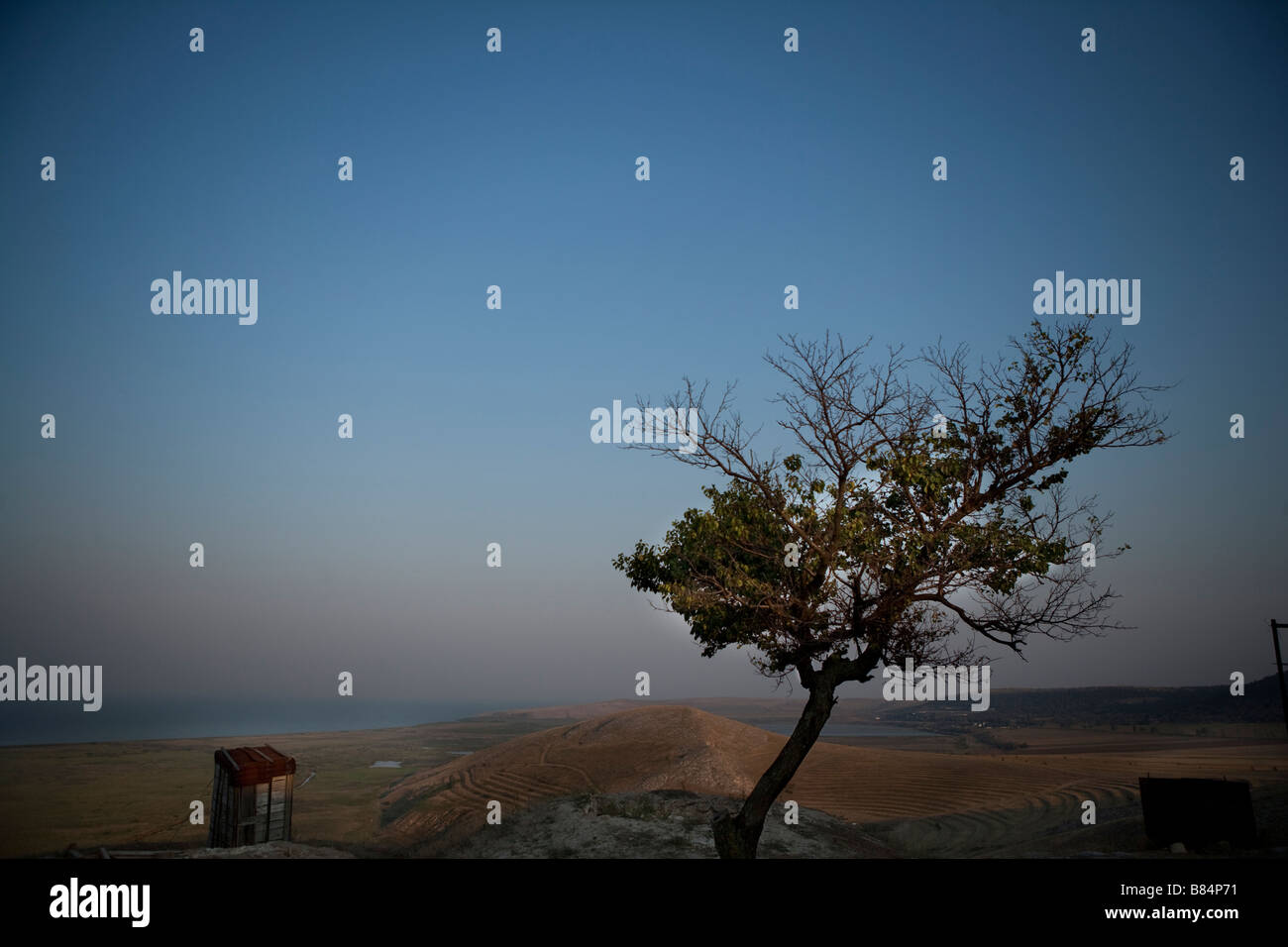 Strange single tree hi-res stock photography and images - Alamy