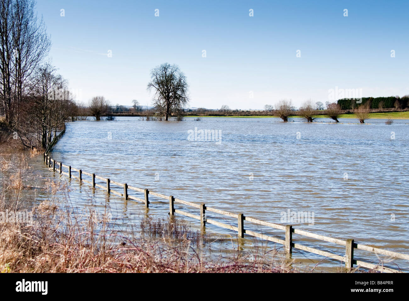 Field underwater hi-res stock photography and images - Alamy