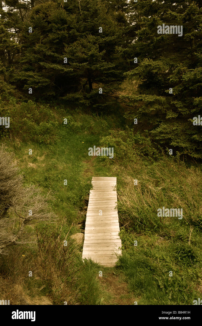 Foot Bridge over trail Stock Photo - Alamy