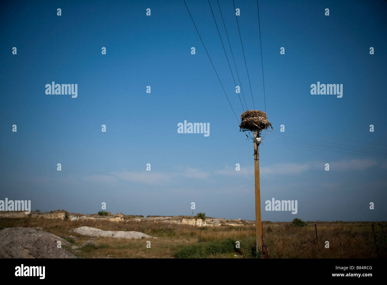 bird nest on electricity suspended on a pillar cables Stock Photo - Alamy