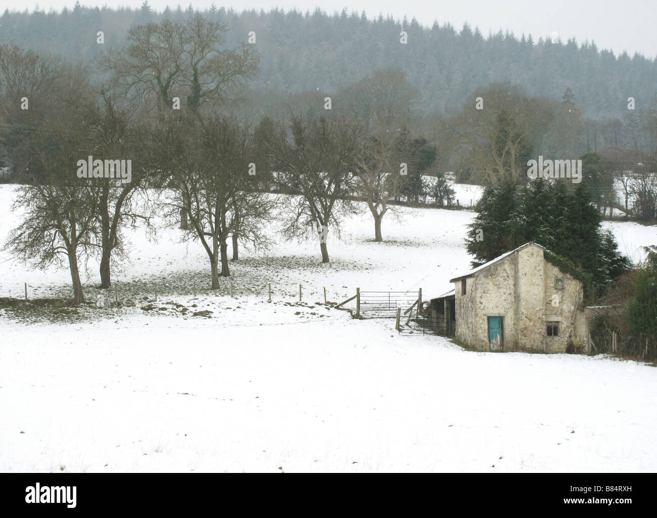 Llanellen hi-res stock photography and images - Alamy