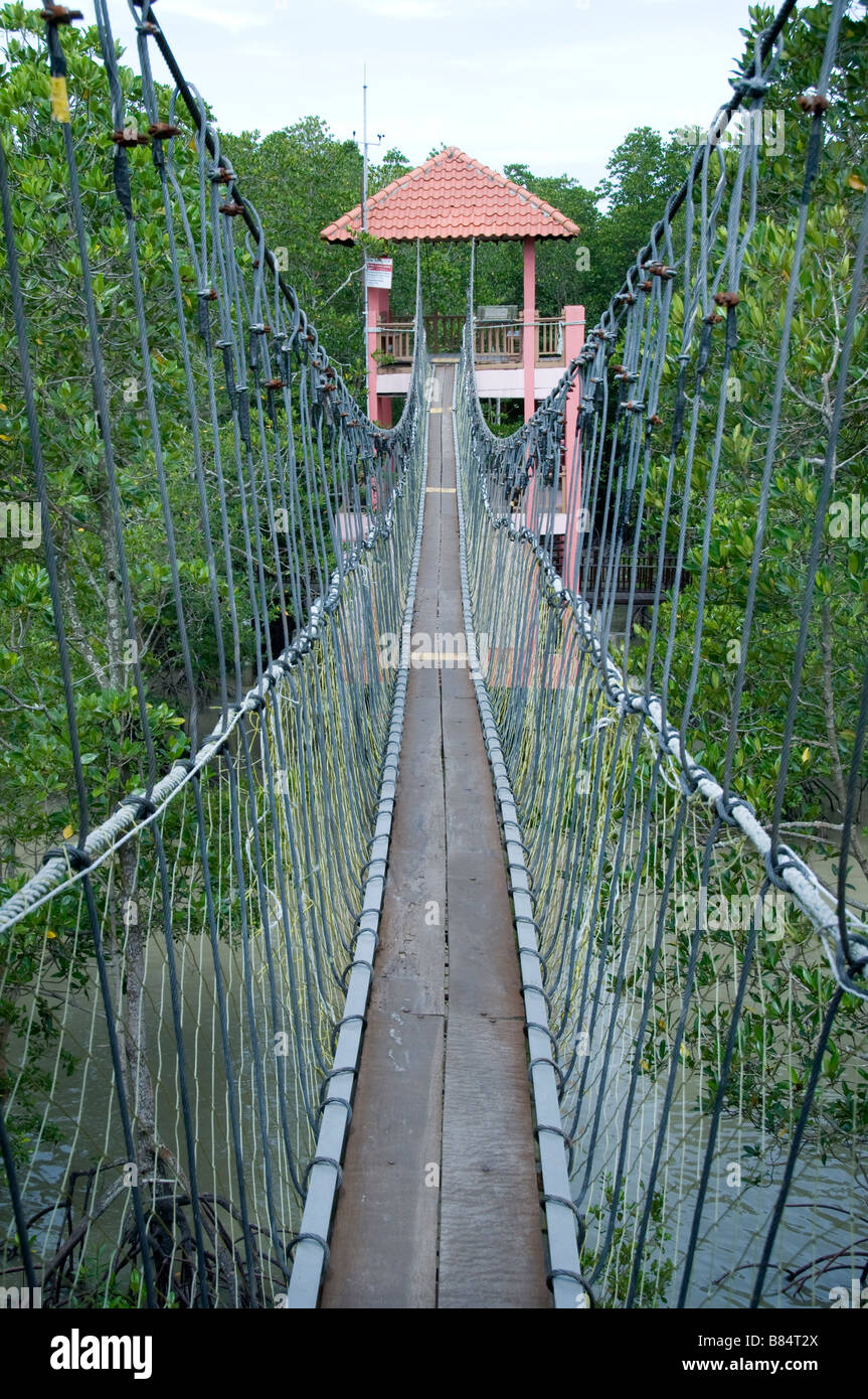 Pulau Kukup National Park, Malaysia Mangrove tide suspension bridge ...