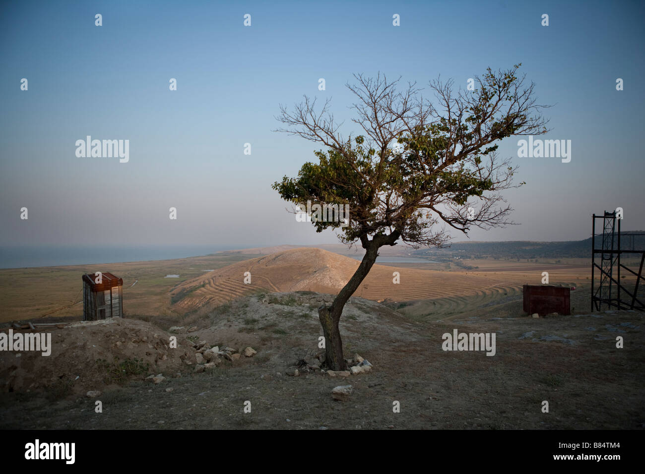 single tree on a deserted land Stock Photo - Alamy