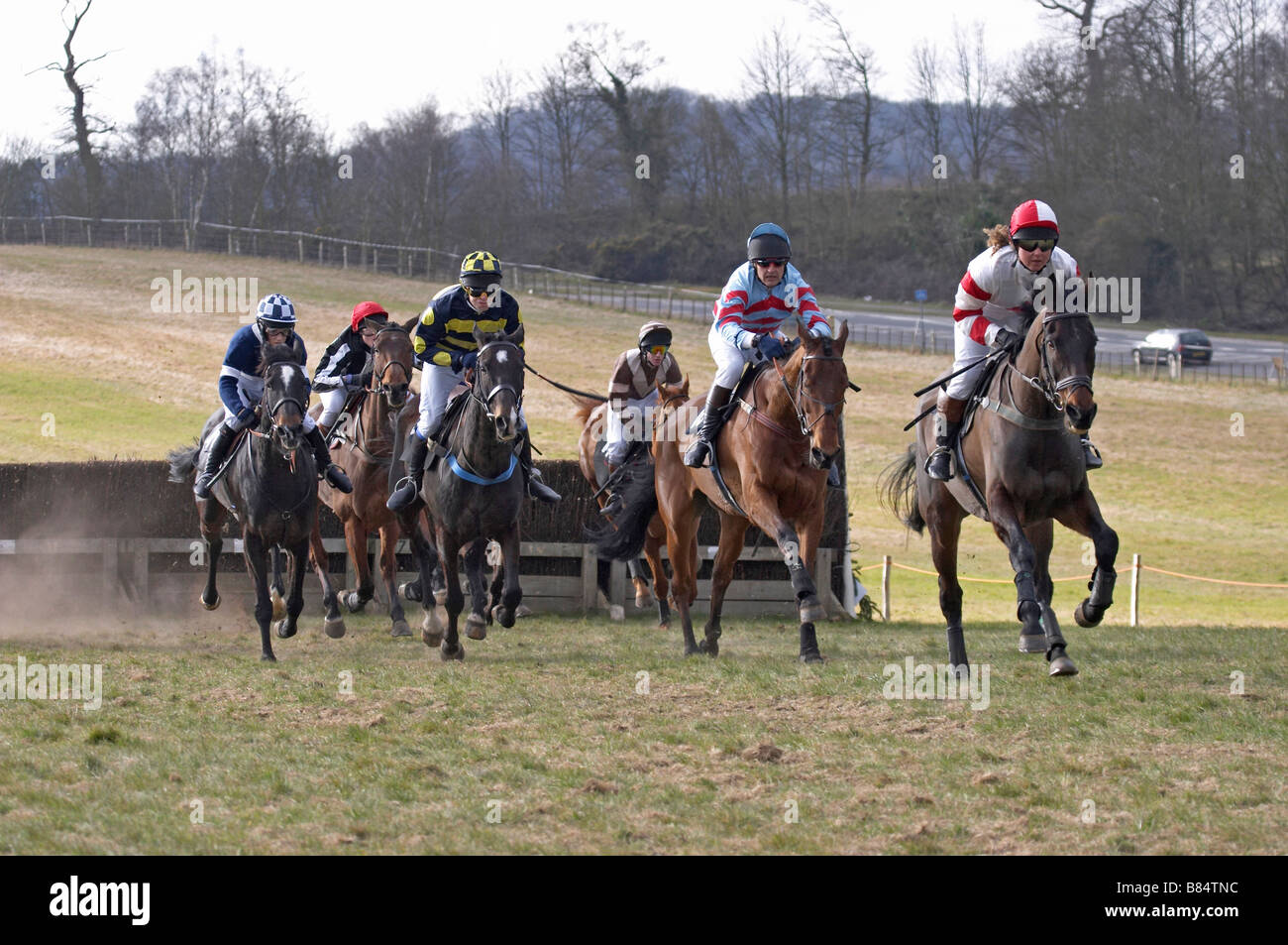 Pont to point horse racing Godstone Surrey Stock Photo - Alamy