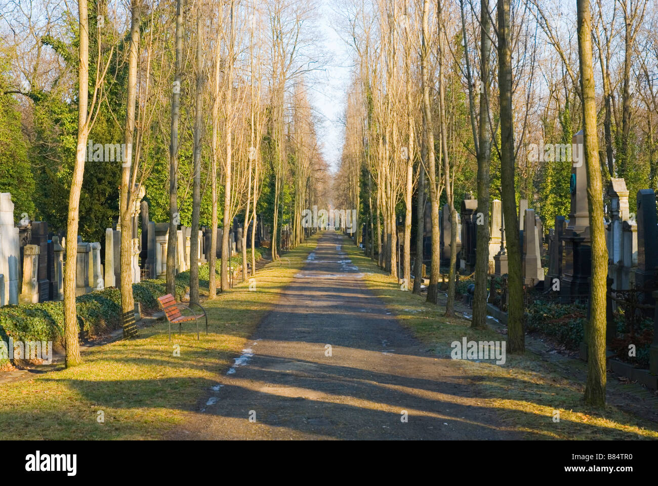 Zidovske hrbitovy the Jewish cemetery where Franz Kafka also is buried ...