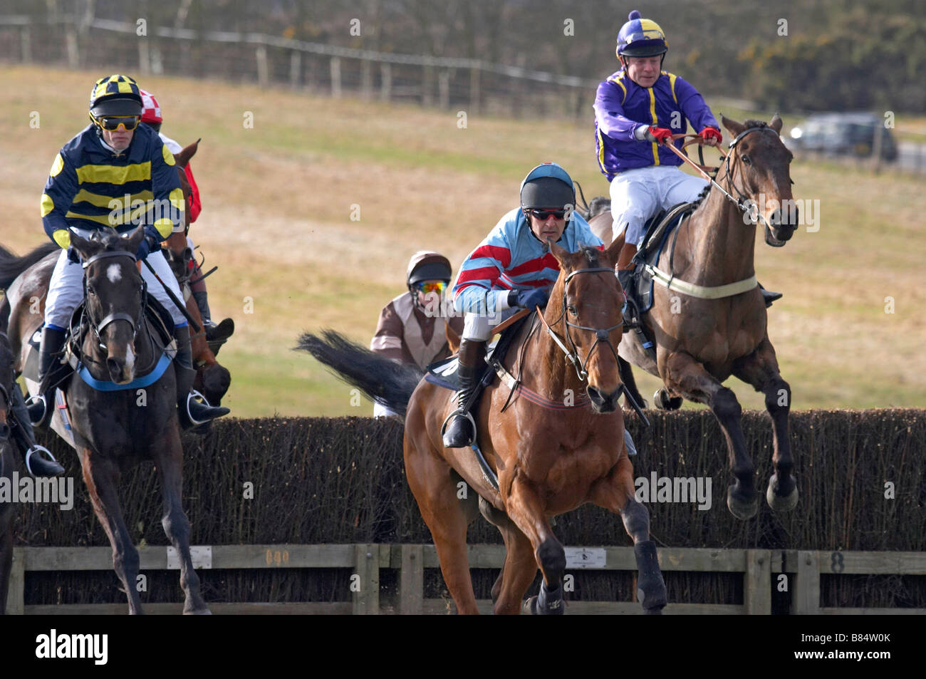 Amateur horse racing hi-res stock photography and images - Alamy