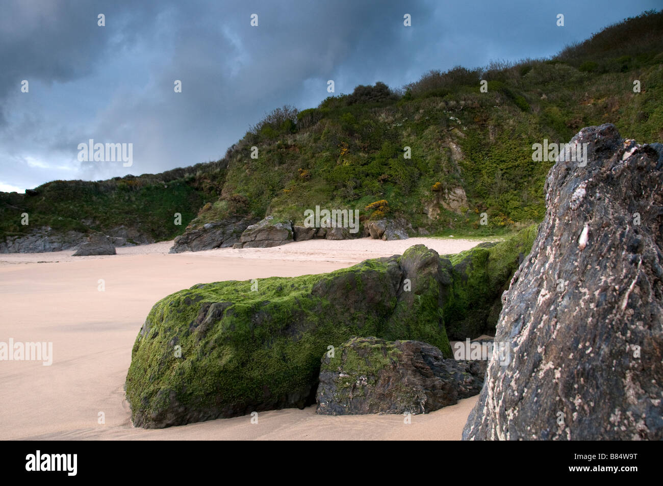 Mill bay beach. East Porltlemouth Devon UK Stock Photo - Alamy