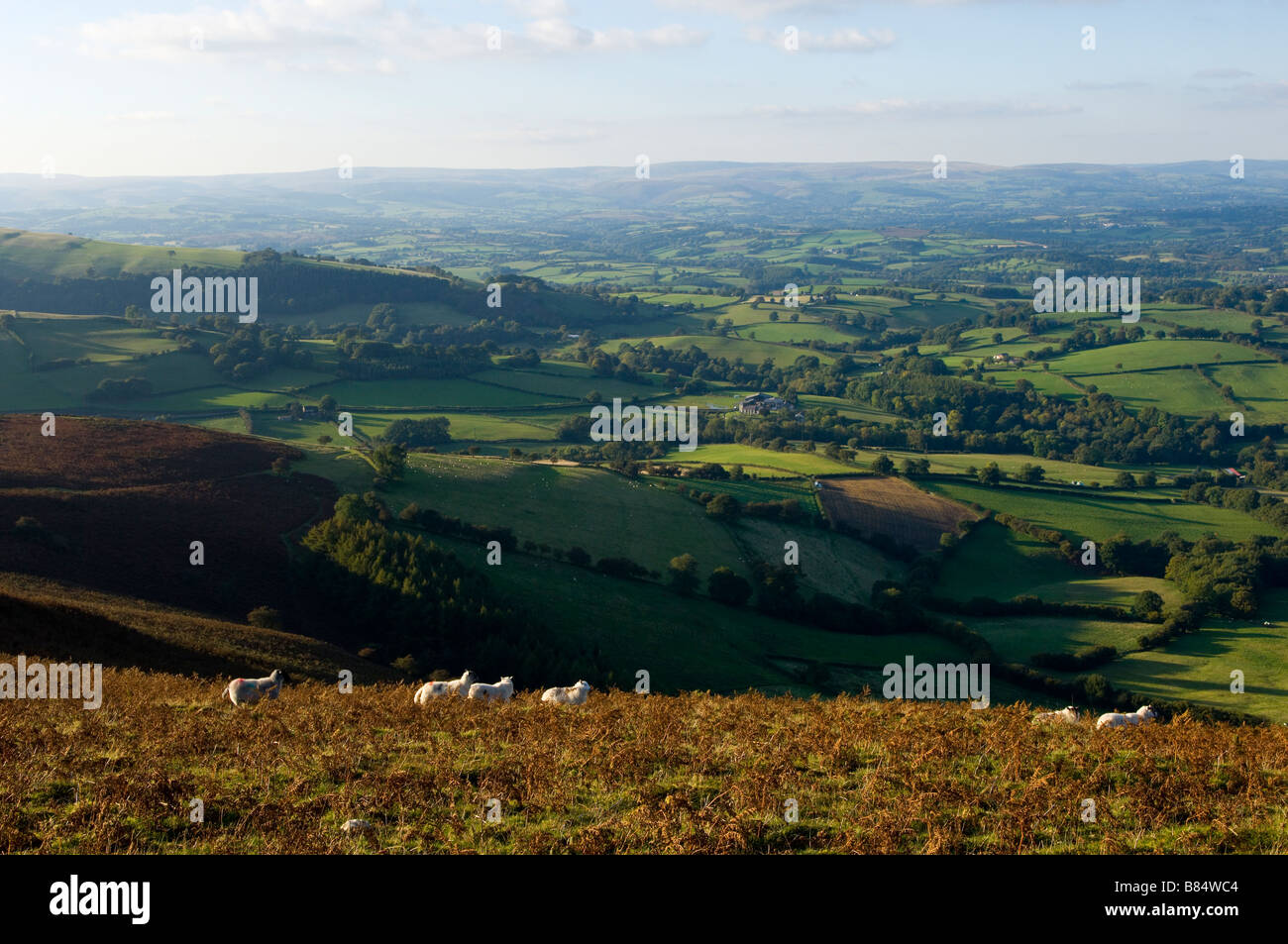 Farming wales hi-res stock photography and images - Alamy