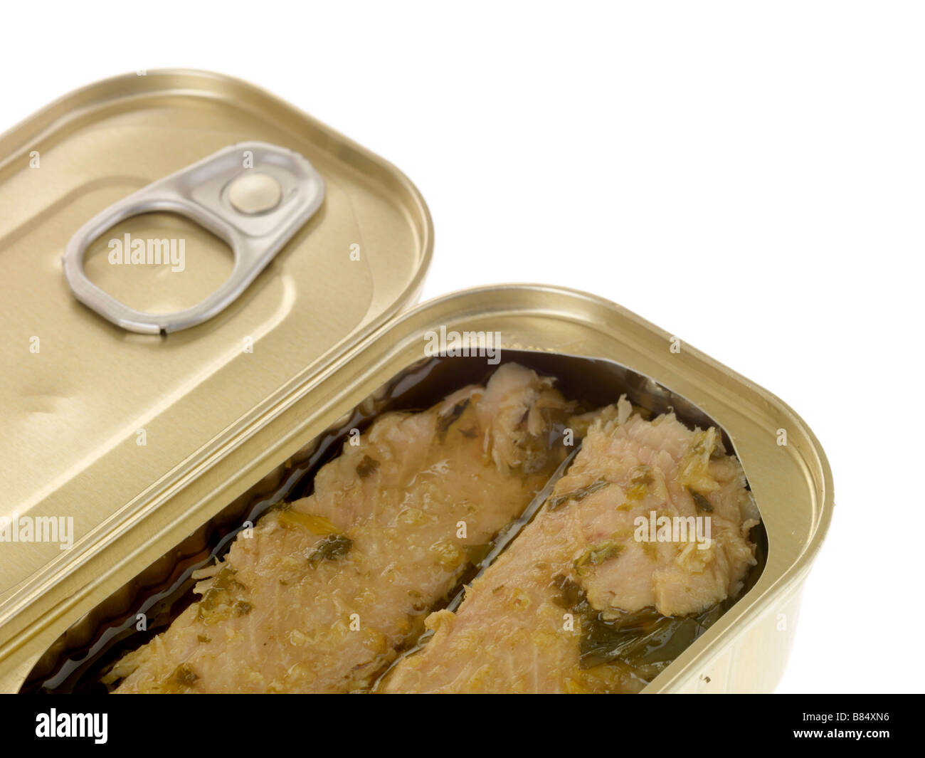 Tin Or Can Of Processed Tuna Fish Fillets Isolated Against A White ...
