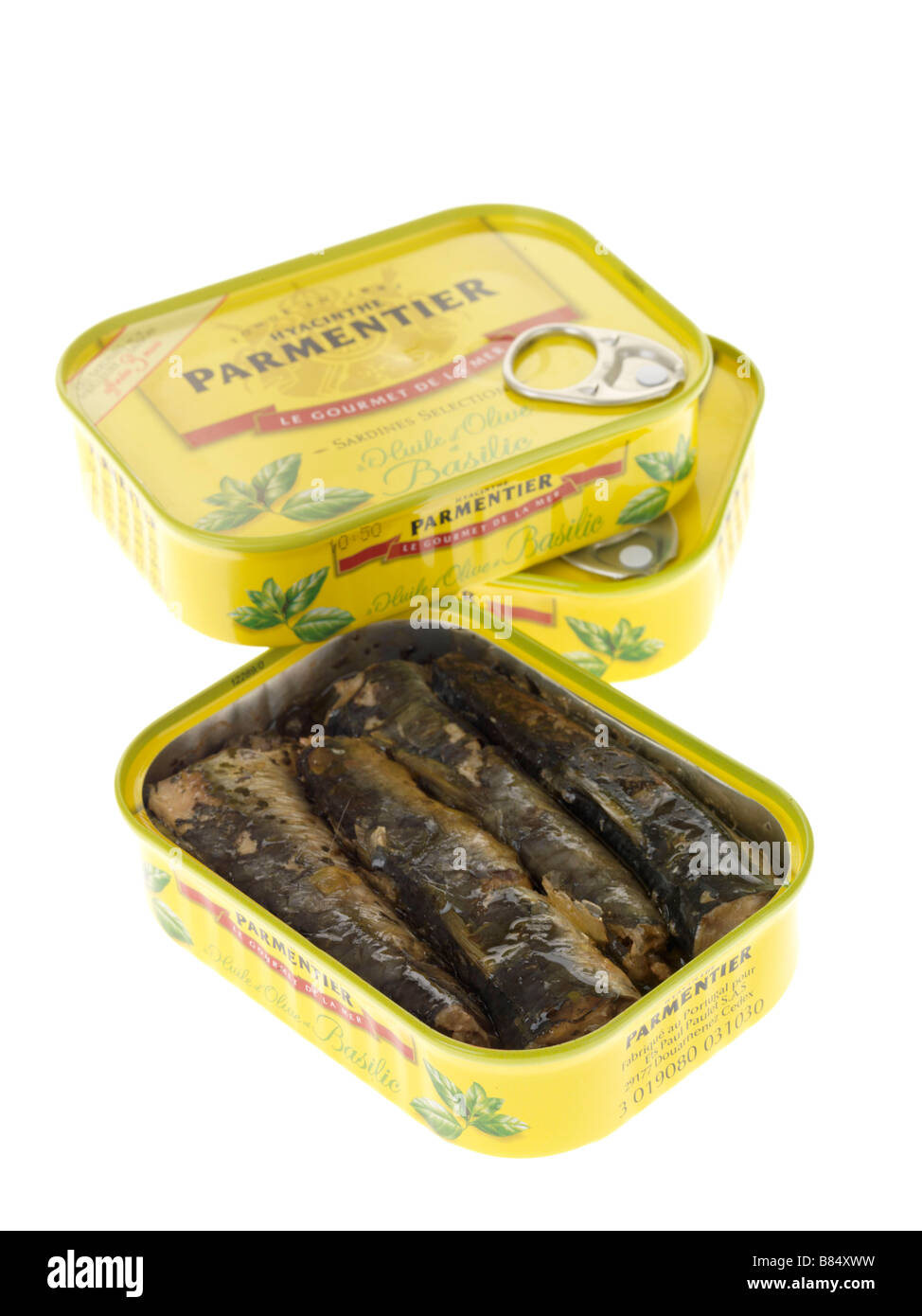 Tinned Or Canned Parmentier Processed Sardines Fish With Basil Herbs ...