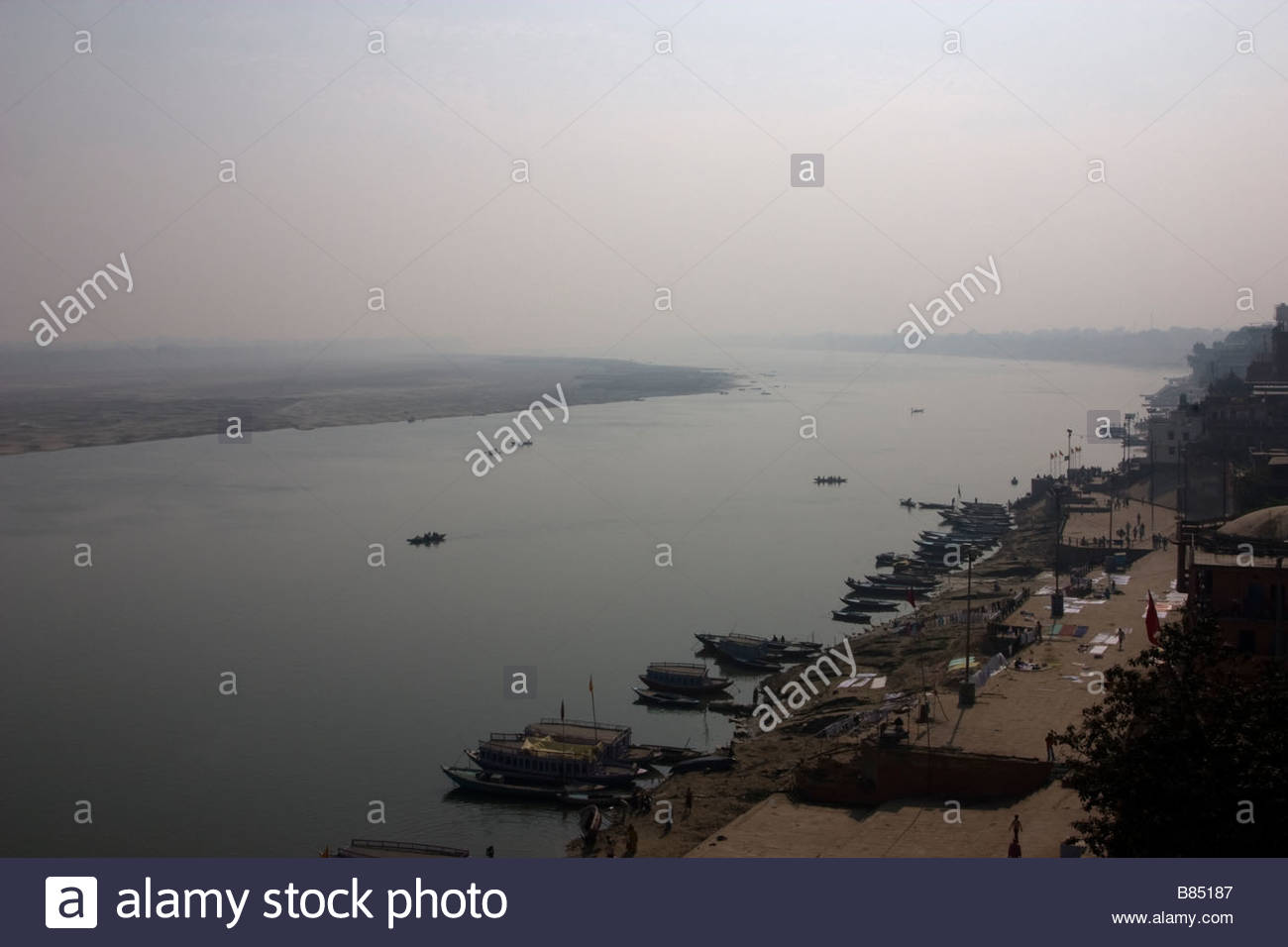Dandi Stock Photos & Dandi Stock Images - Alamy