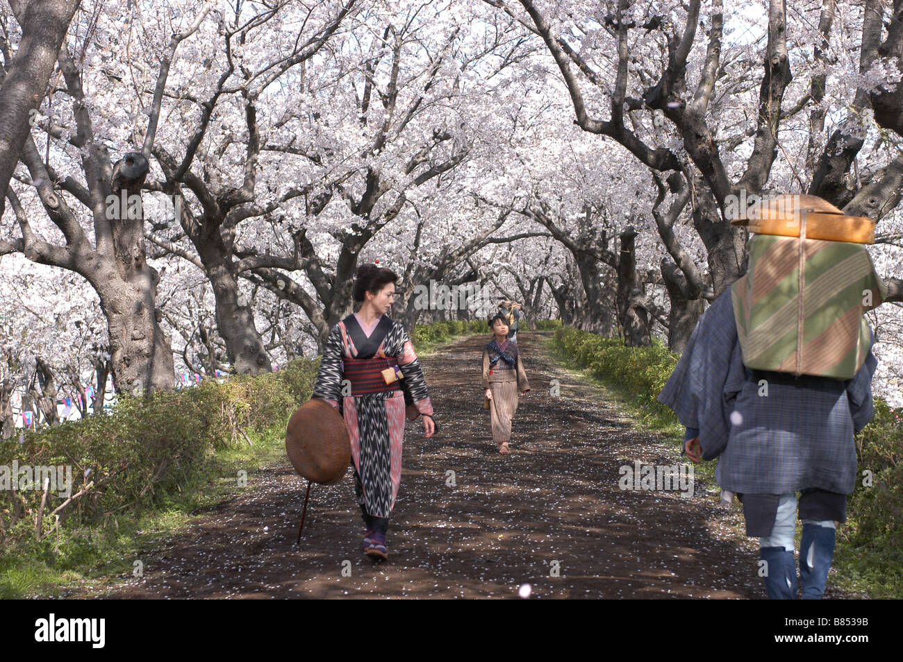 Sakuran Sakuran Year 2006 - Japan Mari Natsuki, Rina Koike Director ...