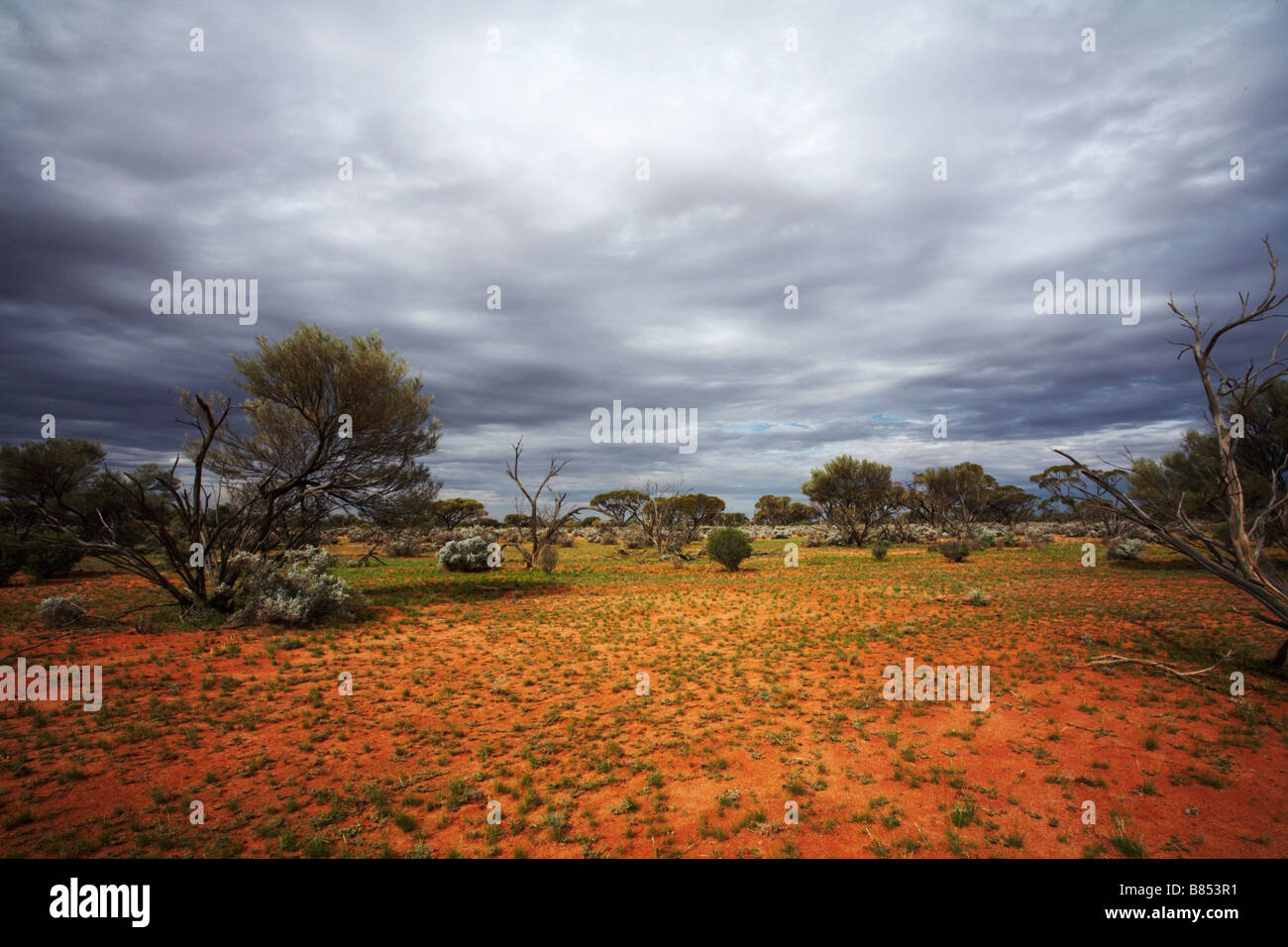 Outback in South Australia near Coober Pedy Stock Photo - Alamy