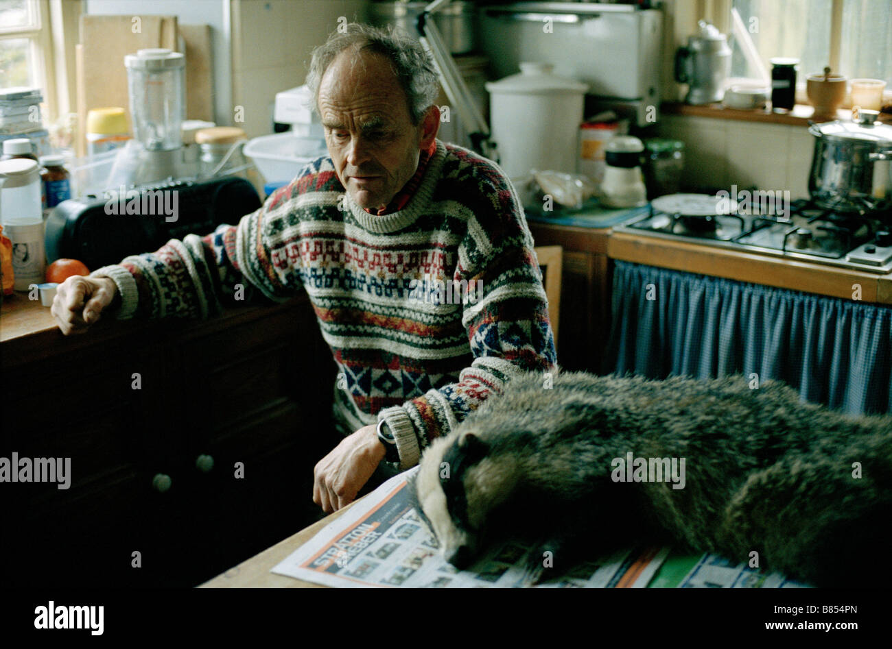 Badger roadkill uk hi-res stock photography and images - Alamy