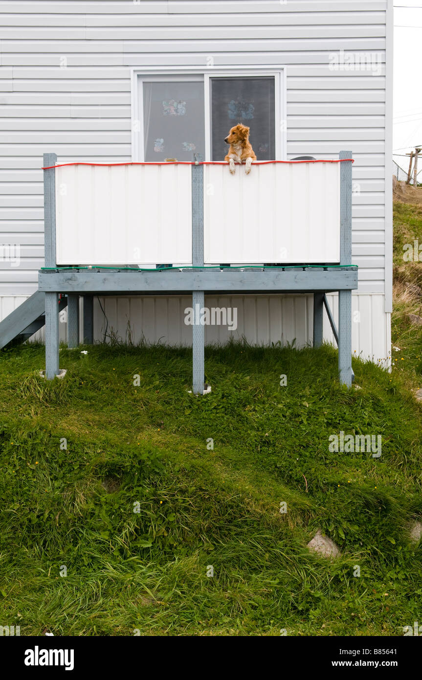 A scene from Ramea, Newfoundland Stock Photo - Alamy