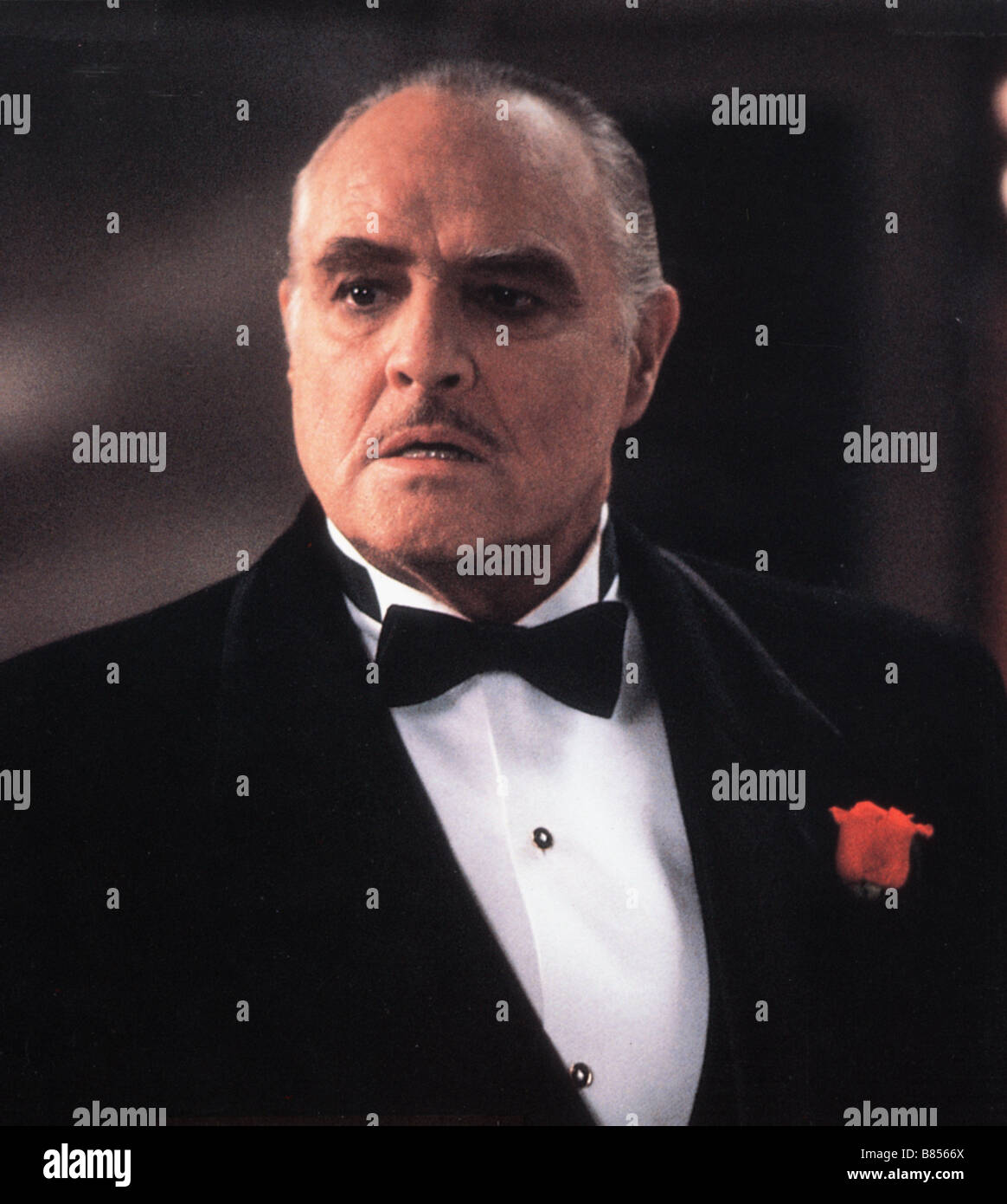 The Freshman Year: 1990 USA Director: Andrew Bergman Marlon Brando ...