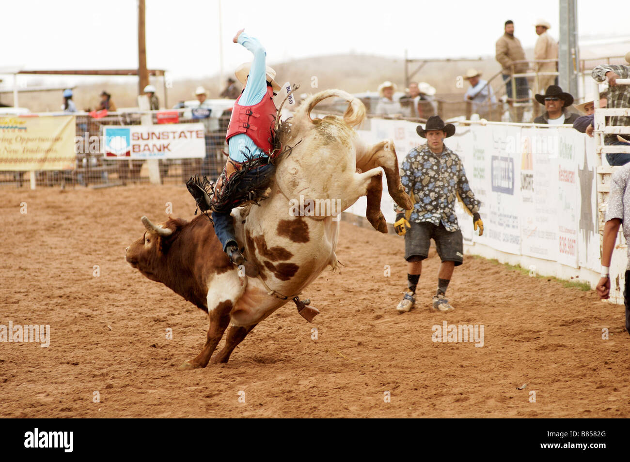 the bull riding event at a rodeo in Arizona Stock Photo - Alamy