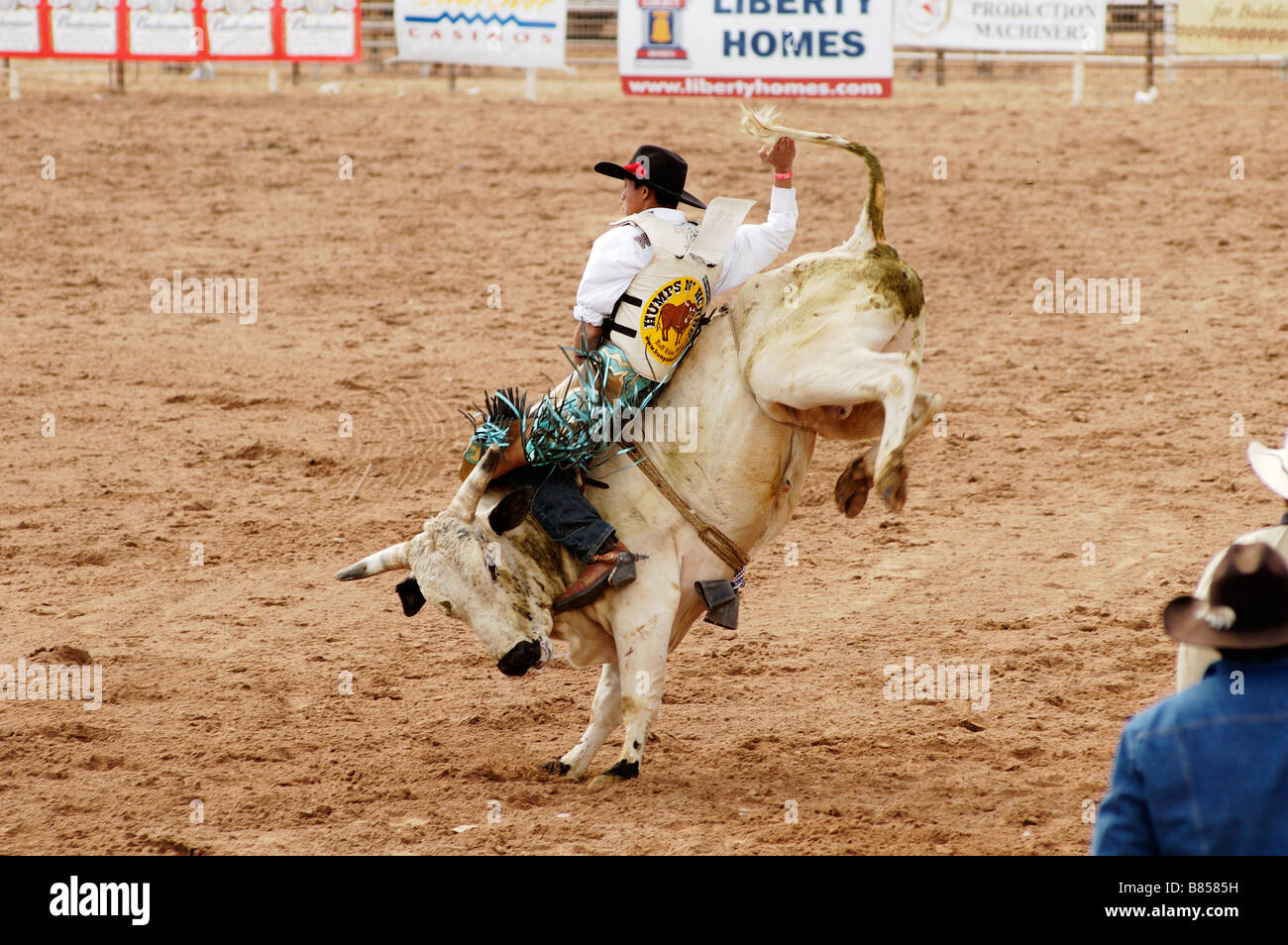 the bull riding event at a rodeo in Arizona Stock Photo - Alamy