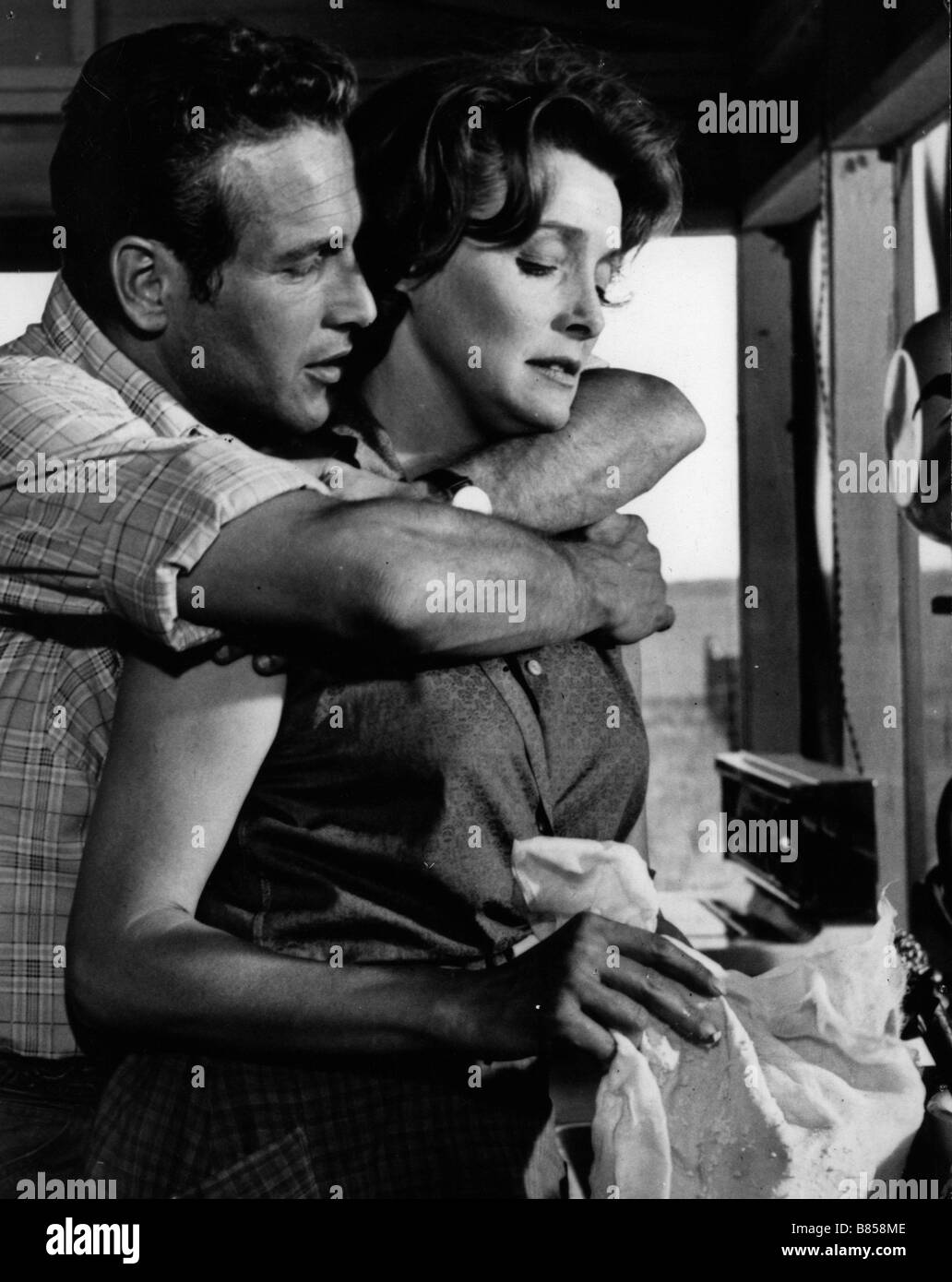 Hud Année : 1963 - USA Paul Newman, Patricia Neal Director : Martin ...