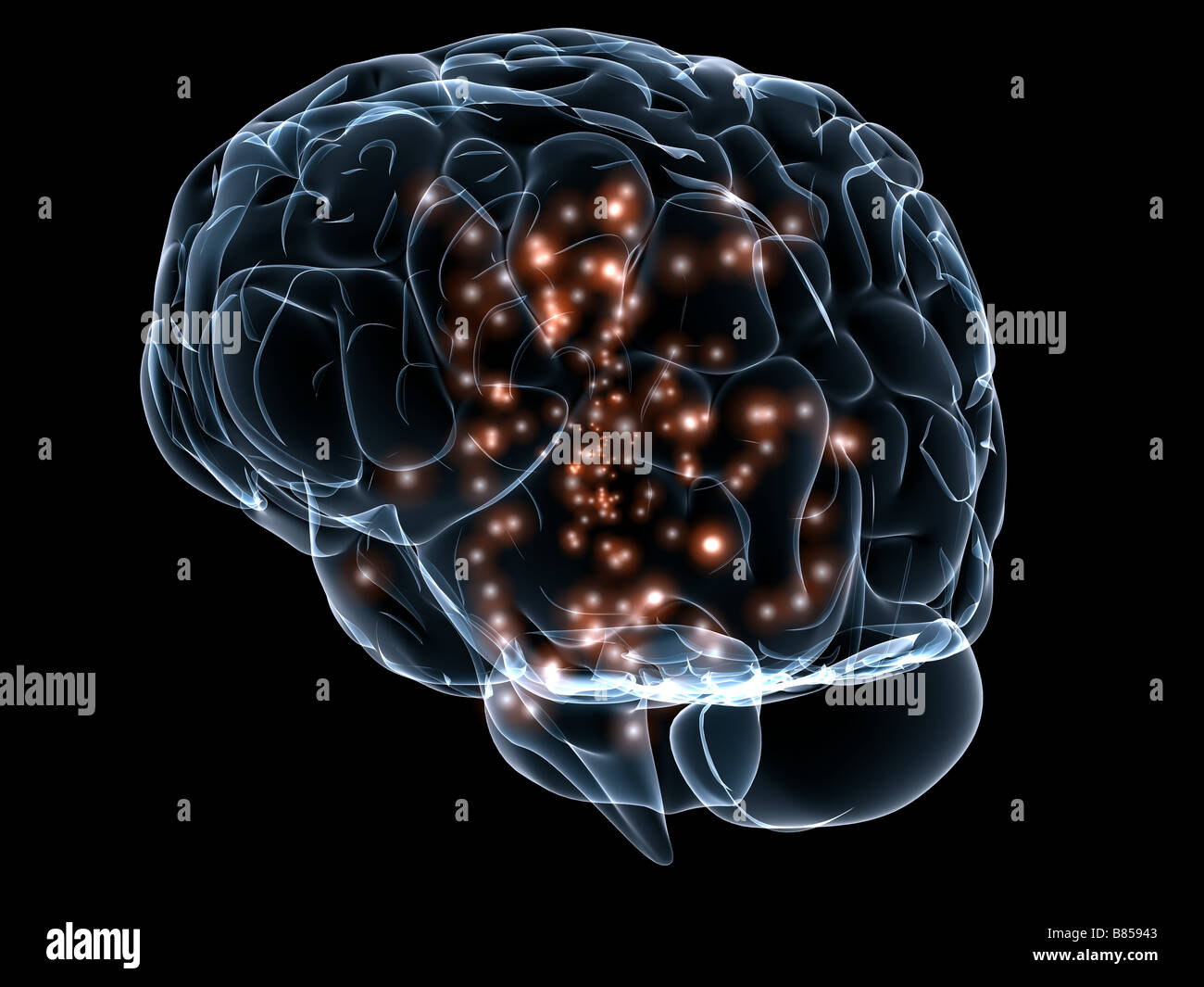 Human brain neuron hi-res stock photography and images - Alamy