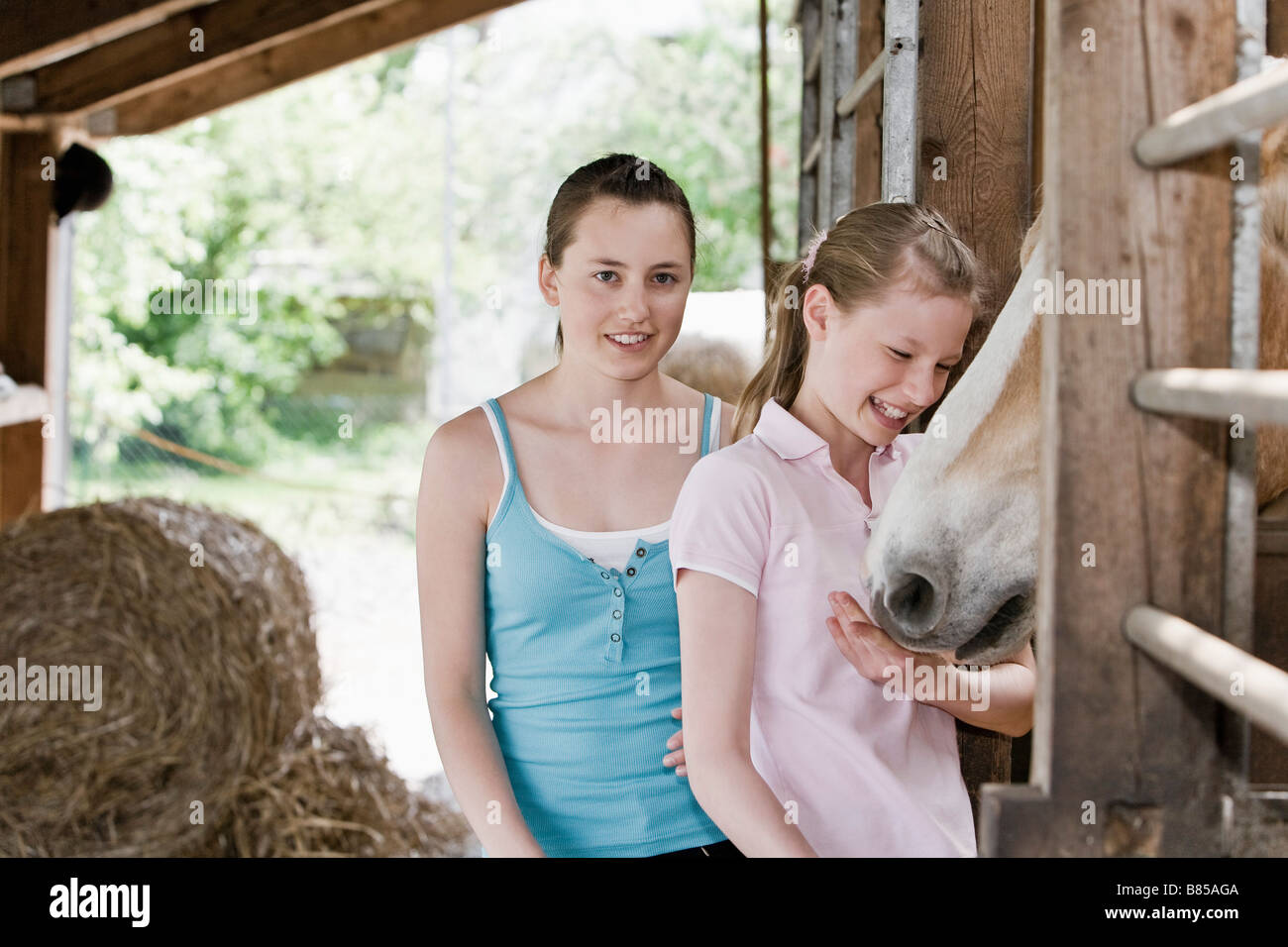 Inside horse stable hi-res stock photography and images - Alamy