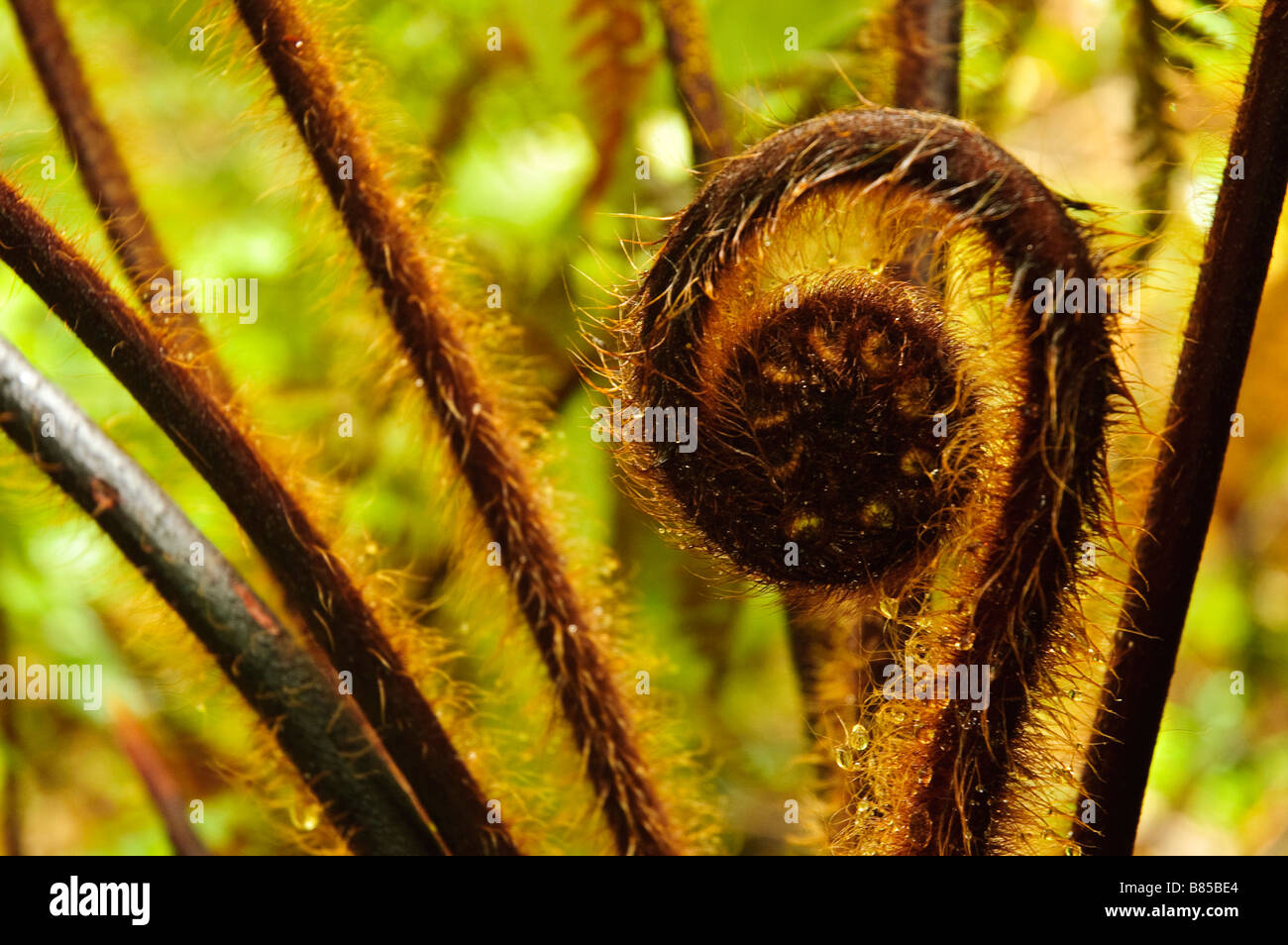 Unspiraling hi-res stock photography and images - Alamy