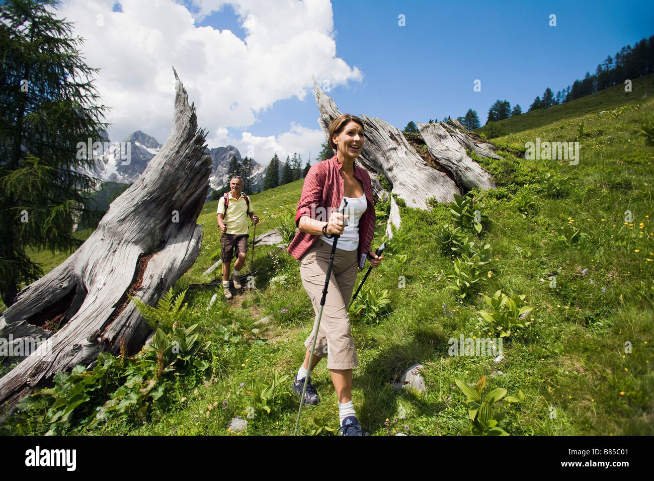 mature couple doing nordic walking in the mountains Stock Photo - Alamy mature couple doing nordic walking in the mountains Stock Photo - Alamy