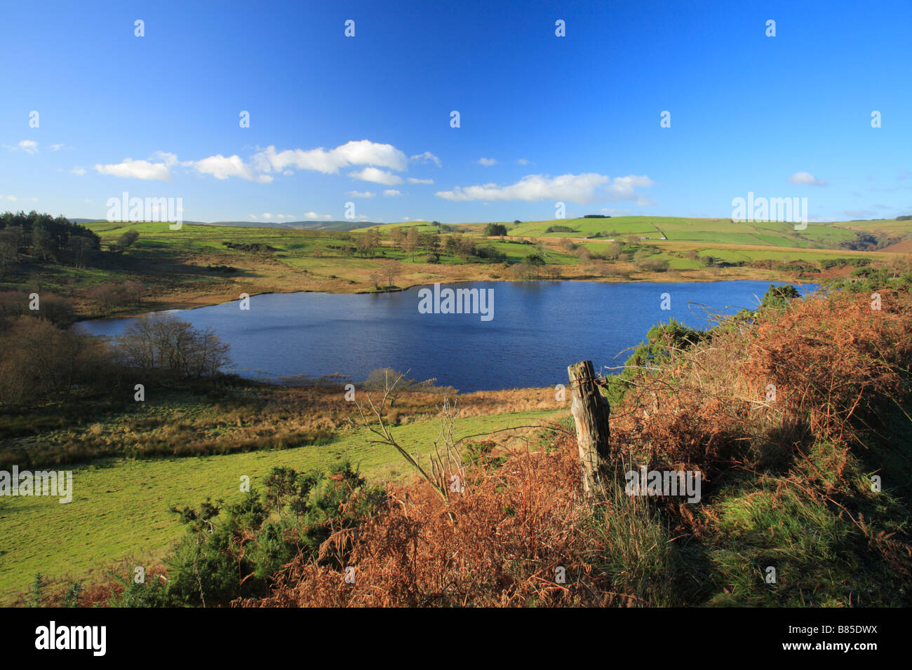 Marsh's Pool near Llangurig, Powys, Wales Stock Photo - Alamy