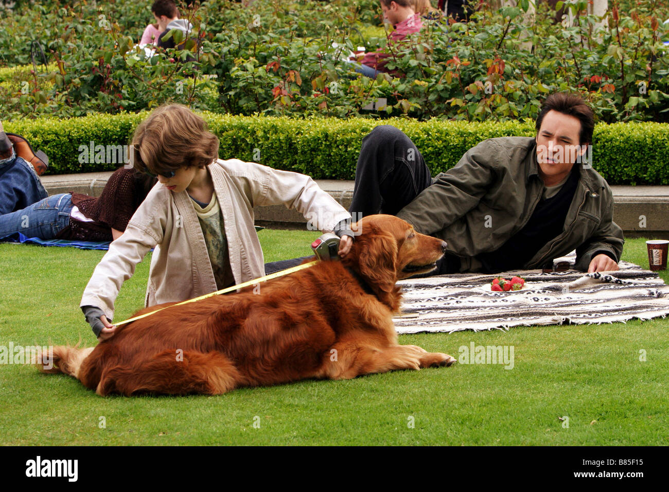 Child measure dog hi-res stock photography and images - Alamy