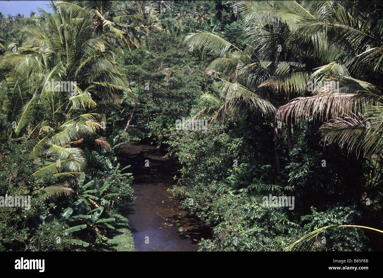 River java hi-res stock photography and images - Alamy