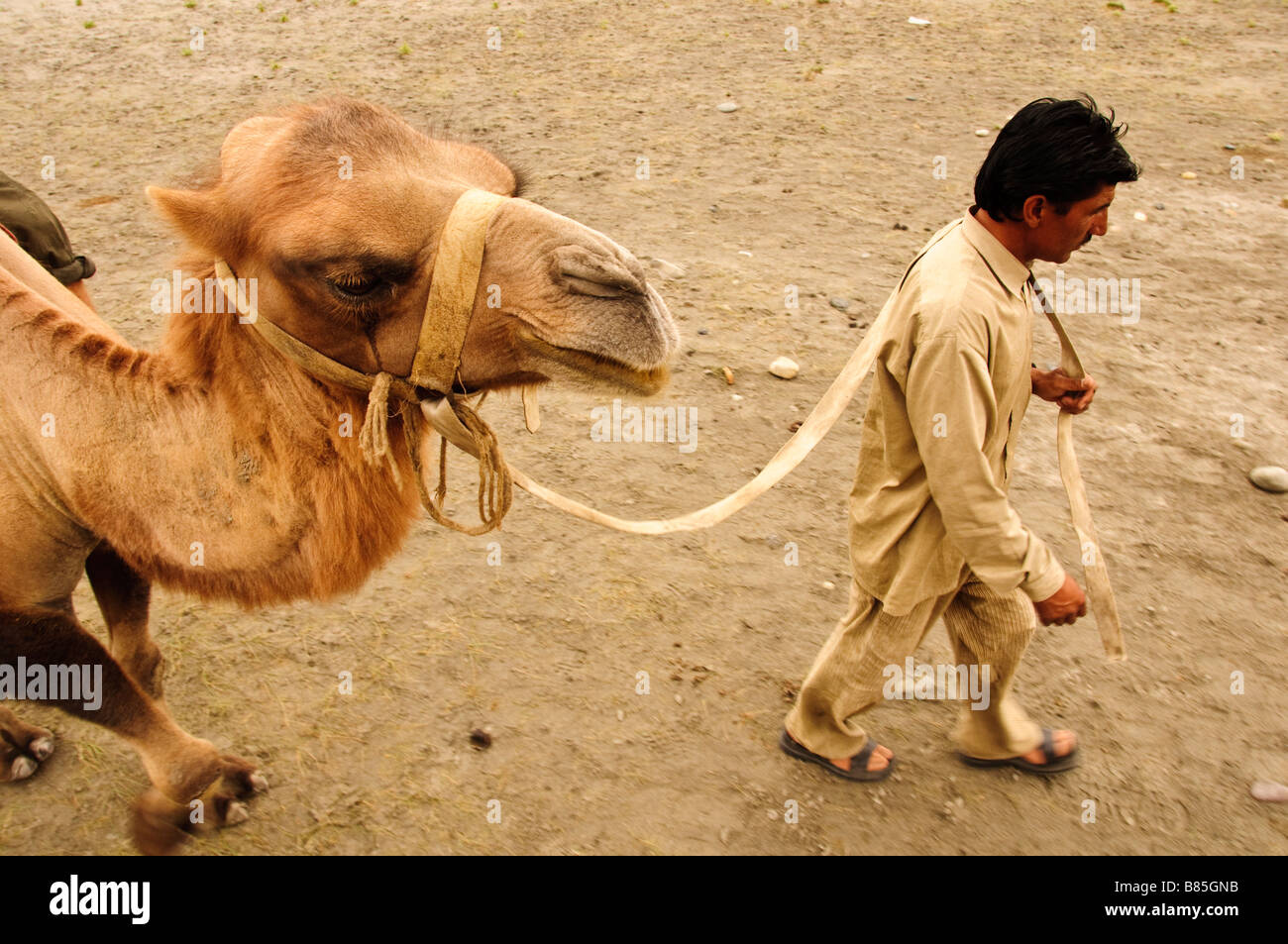 Lead above hi-res stock photography and images - Alamy