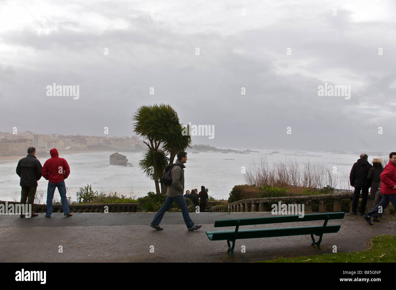 24 january hi-res stock photography and images - Alamy