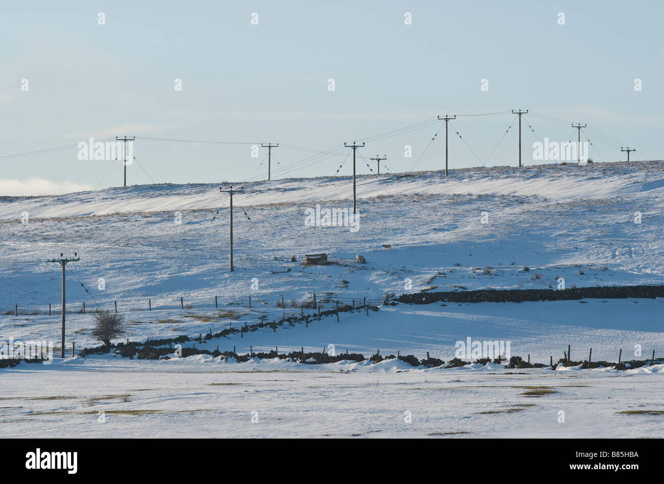 Telephone Poles And Wires High Resolution Stock Photography and Images ...
