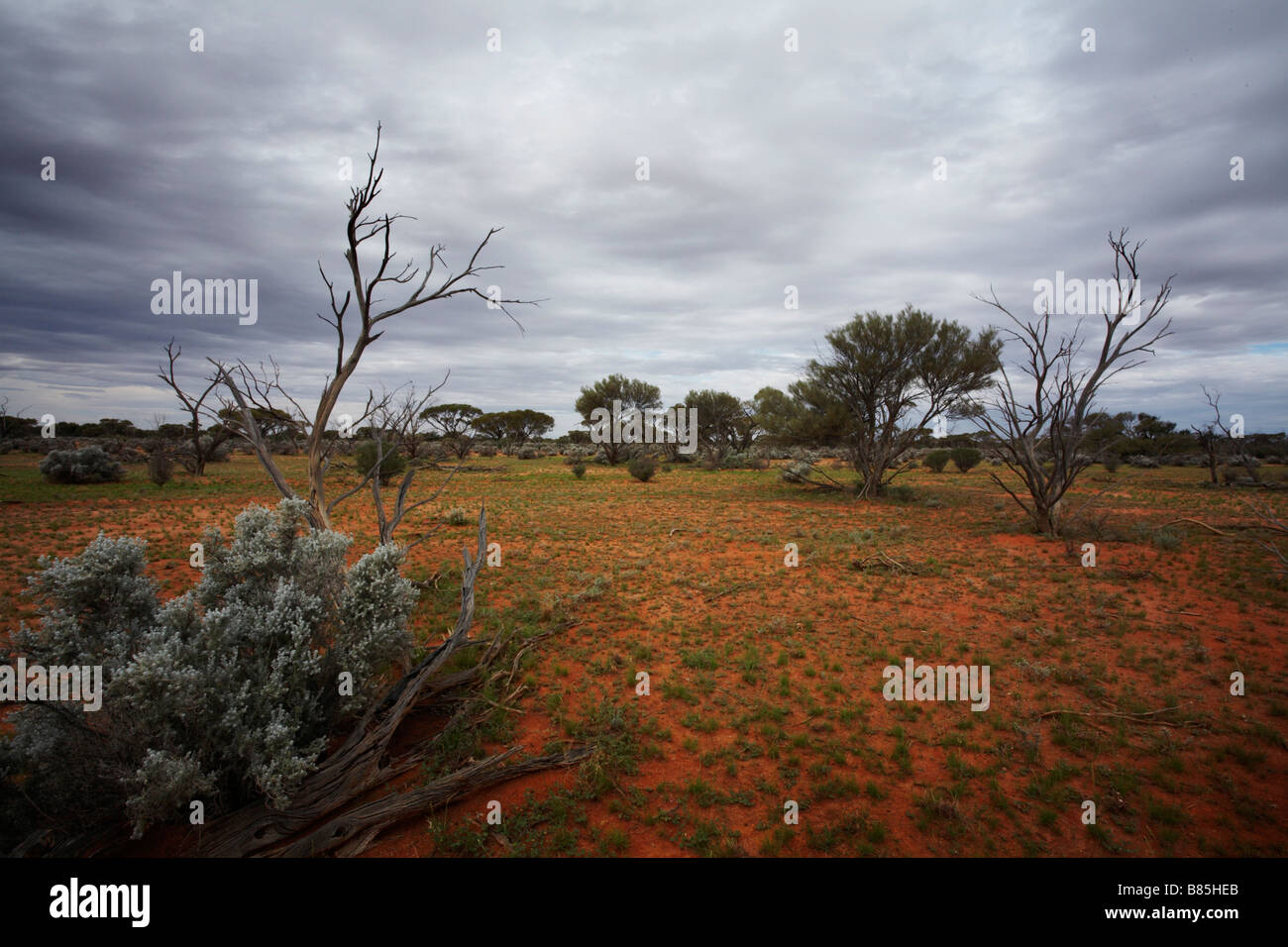 Outback in South Australia near Coober Pedy Stock Photo - Alamy