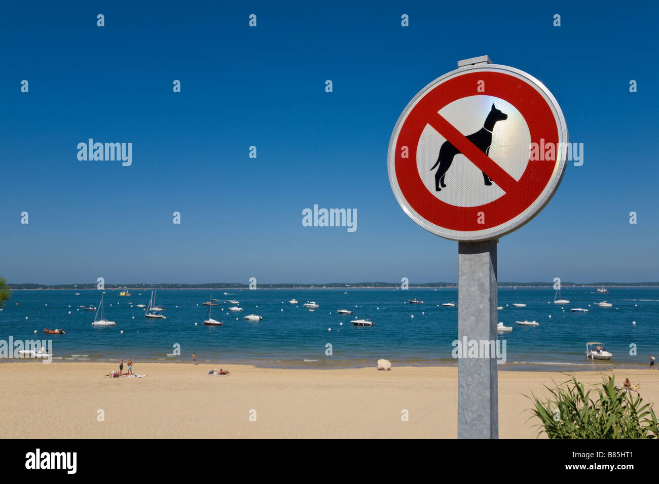 "no dogs" allowed sign, Beach, Arcachon, Gironde, France Stock Photo ...