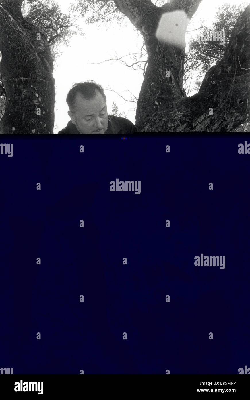 Brasseur pierre hi-res stock photography and images - Alamy