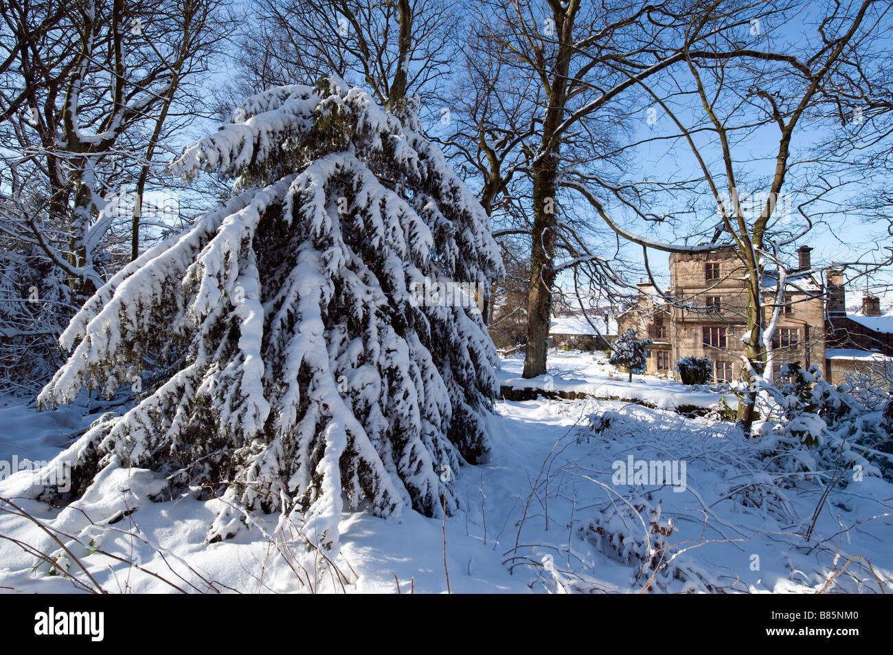 Longshaw hi-res stock photography and images - Alamy