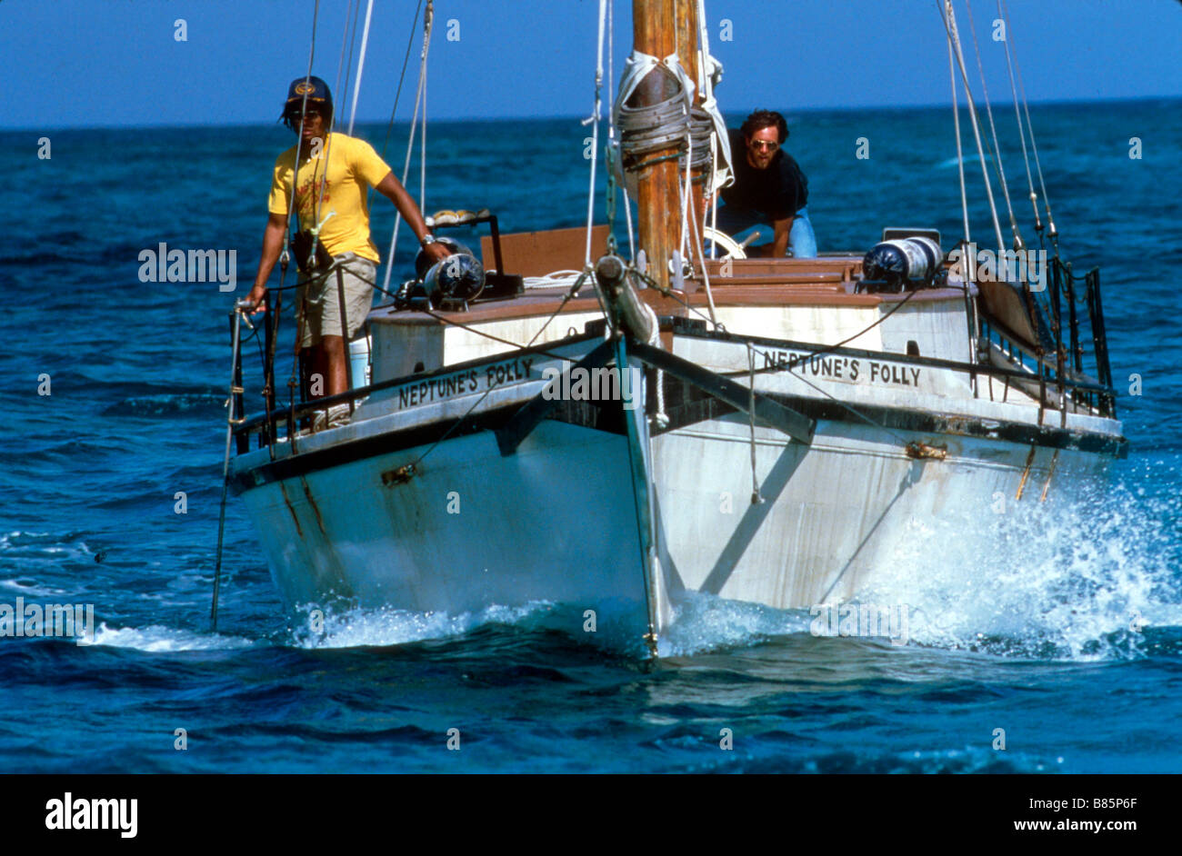Jaws: The Revenge Year : 1987 USA Director: Joseph Sargent Stock Photo ...