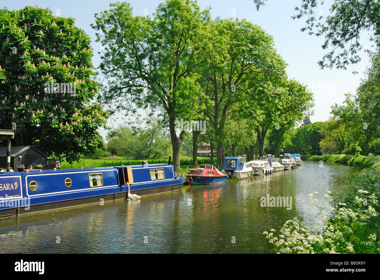 Chelmer hi-res stock photography and images - Alamy