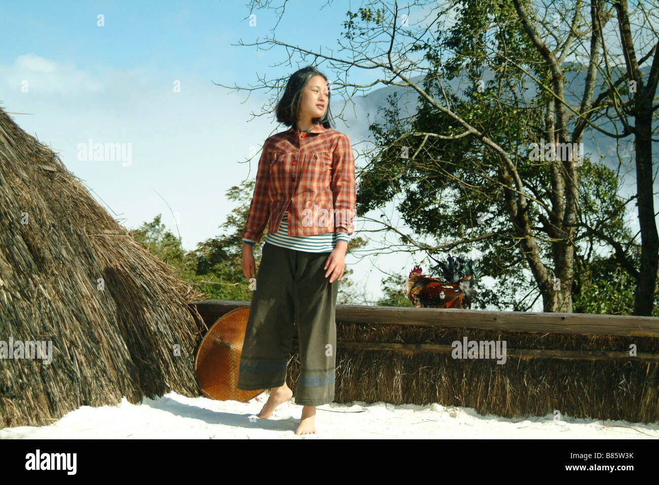 Zhao qi hi-res stock photography and images - Alamy