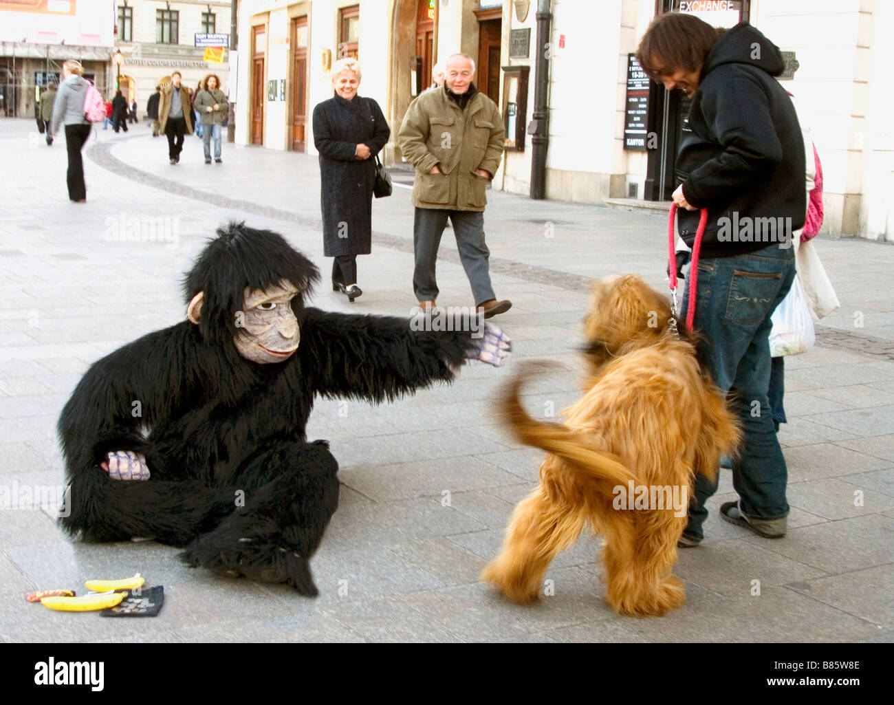 Monkey street show hi-res stock photography and images - Alamy