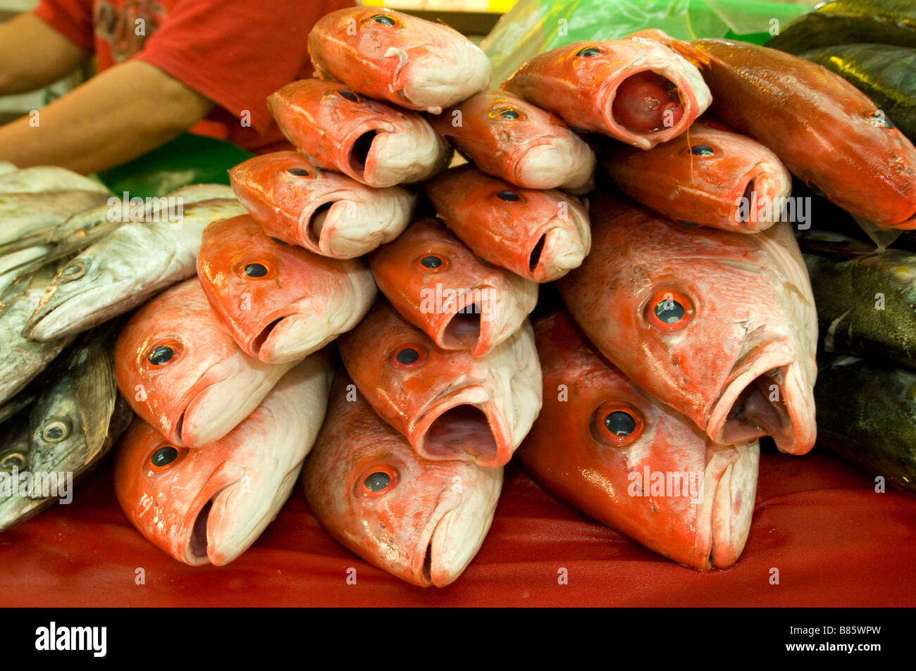Red snapper mexico hi-res stock photography and images - Alamy