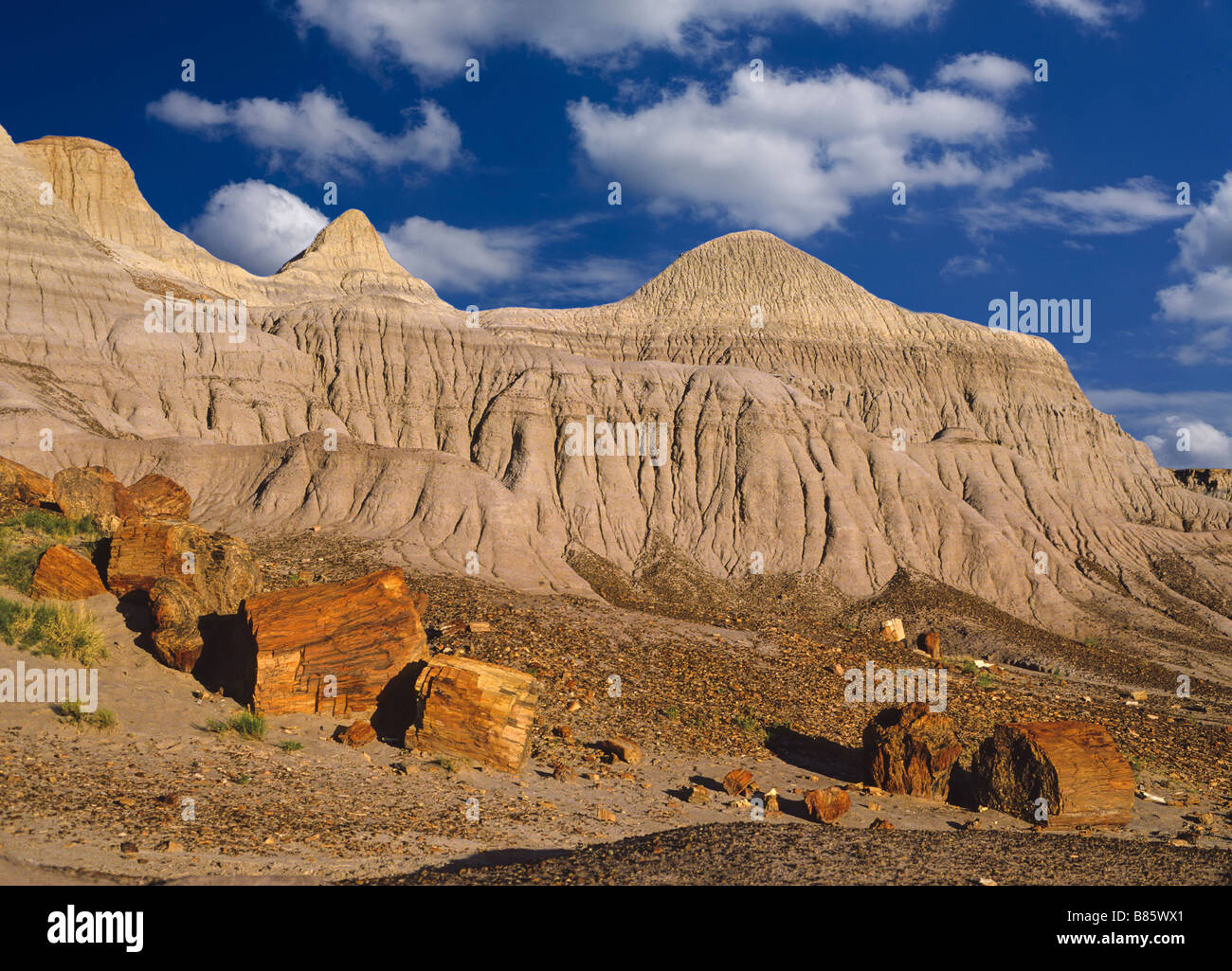 Petrified Forest National Park AZ USA Stock Photo - Alamy