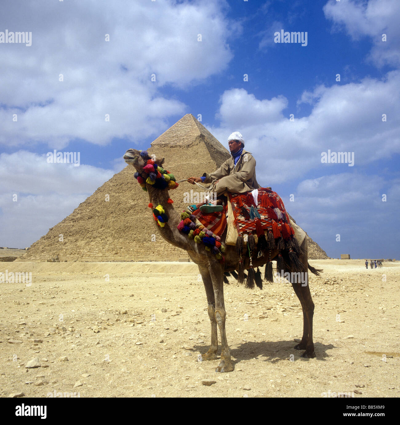 Egyptian character on camel beside the Great Pyramid on the Giza ...