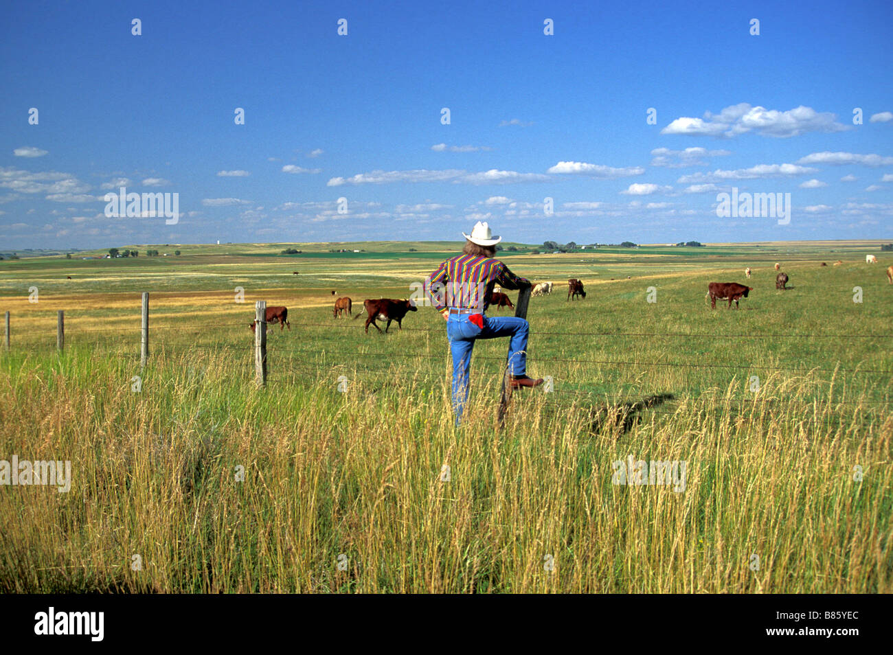Rancher in Montana, USA Stock Photo - Alamy