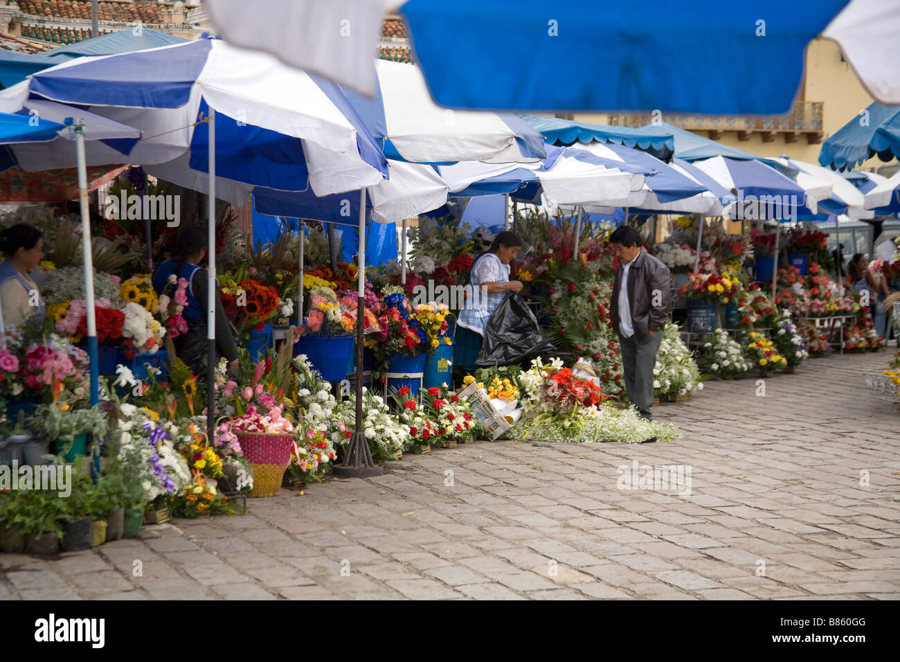 Flower market cuenca ecuador hi-res stock photography and images - Alamy
