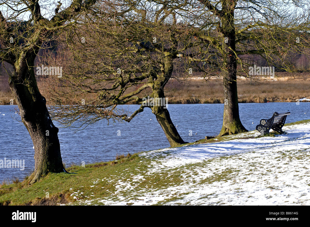 Longmoor Pool in winter Sutton Park West Midlands England UK Stock ...