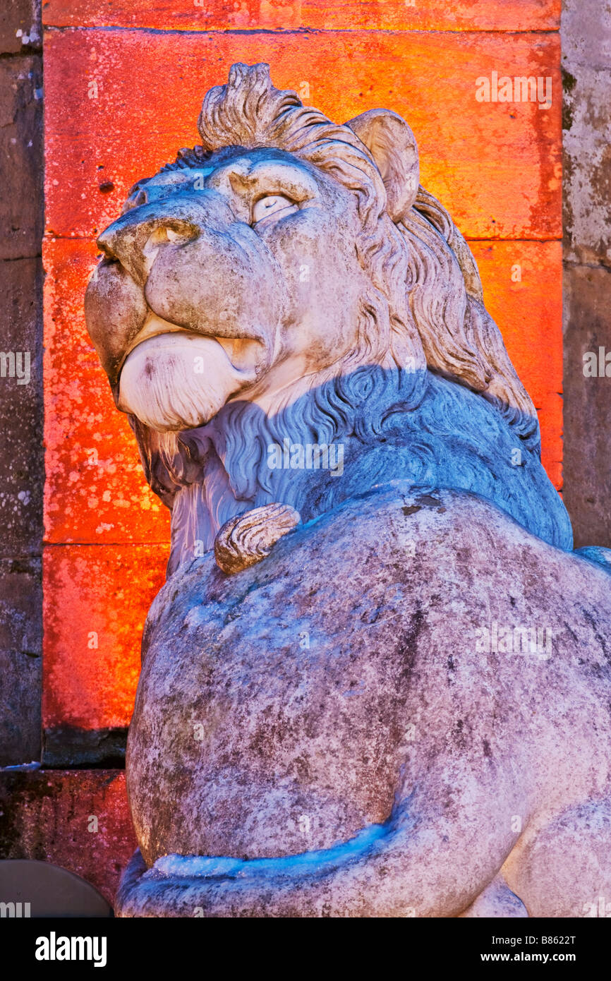Percy lion hi-res stock photography and images - Alamy